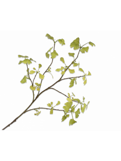 Silk-ka Flowers | Vorspaget Home